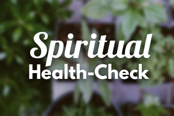 An Annual Spiritual Health-Check (REVISITED) | Live with Purpose Coaching